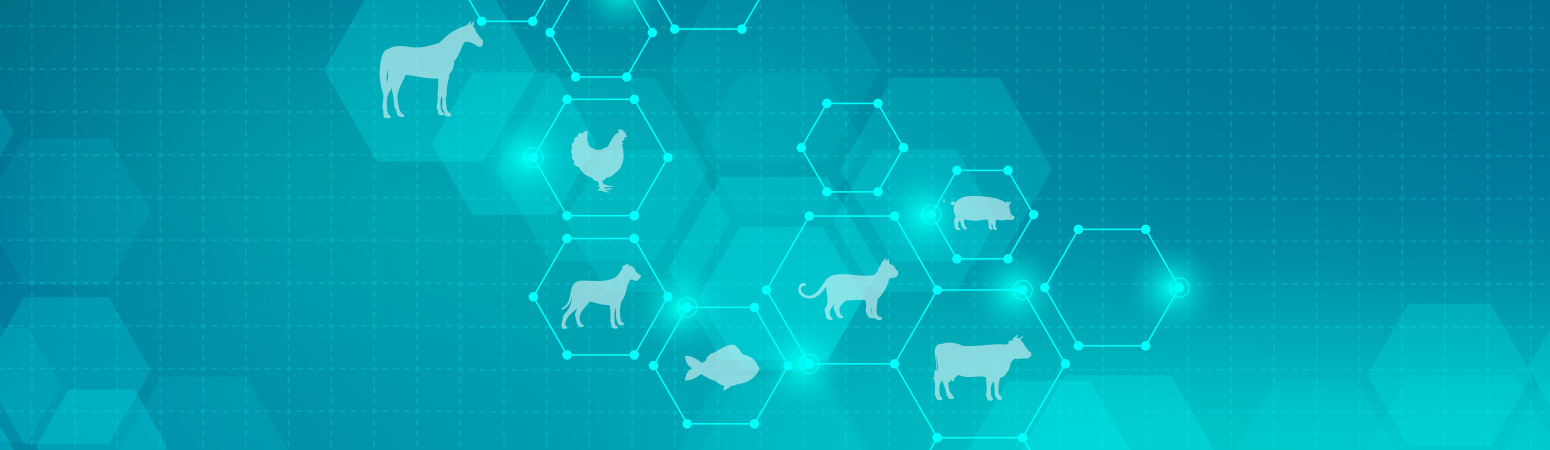 Animal Health Products | MSD Animal Health New Zealand