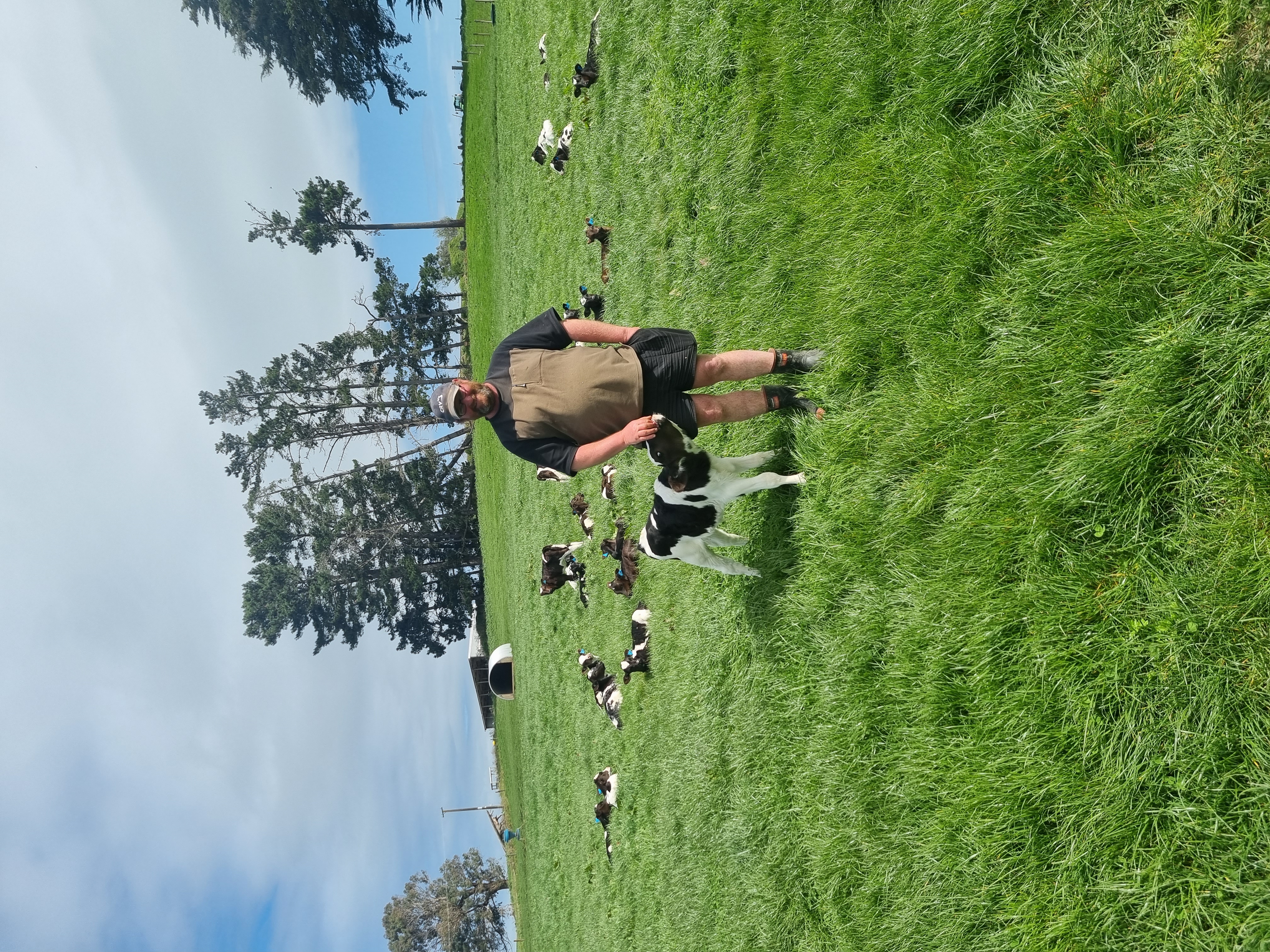 Setting your heifers up for future success - MSD Animal Health New Zealand